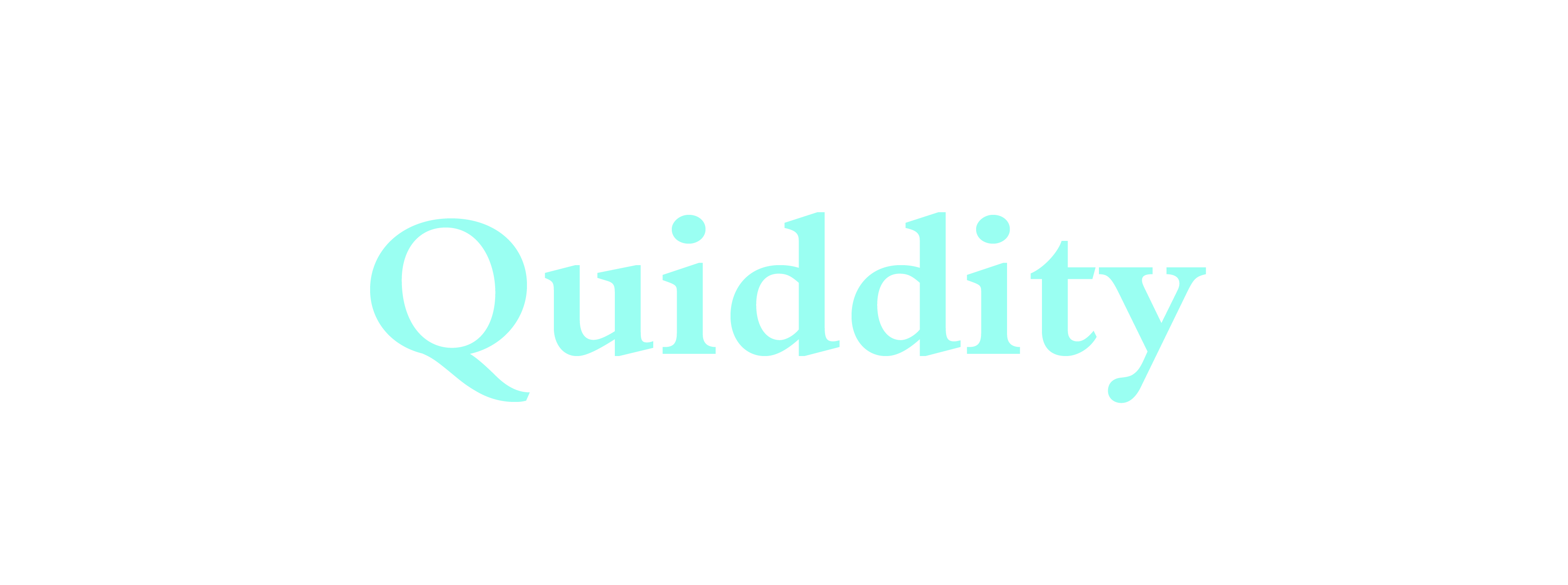 Quiddity - Word Daily